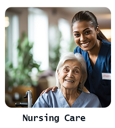 Home - The Noble Oak